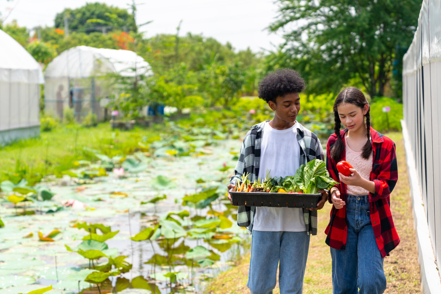 Is Your Child Being Challenged Enough In School? | Oxford Learning